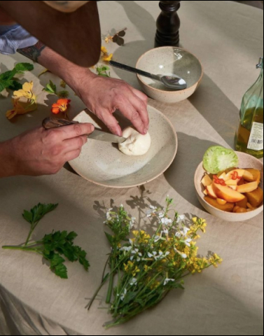 home-1 – Theodore Rex